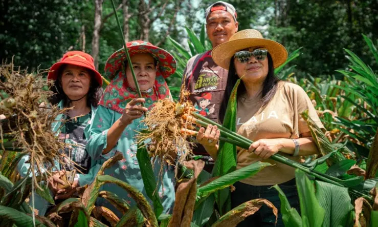 Thai Restaurant & Takeaway in London Waterloo | Rosa's Thai